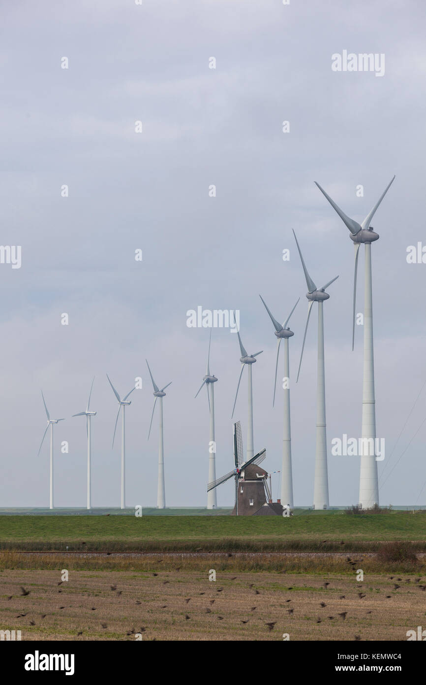 traditional old dutch windmill goliath and wind turbines near eemshaven ...