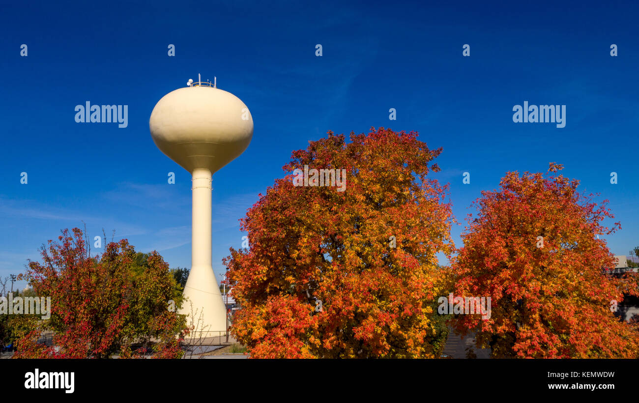Iconic water tower located in Meridian Idaho with fall colored trees ...