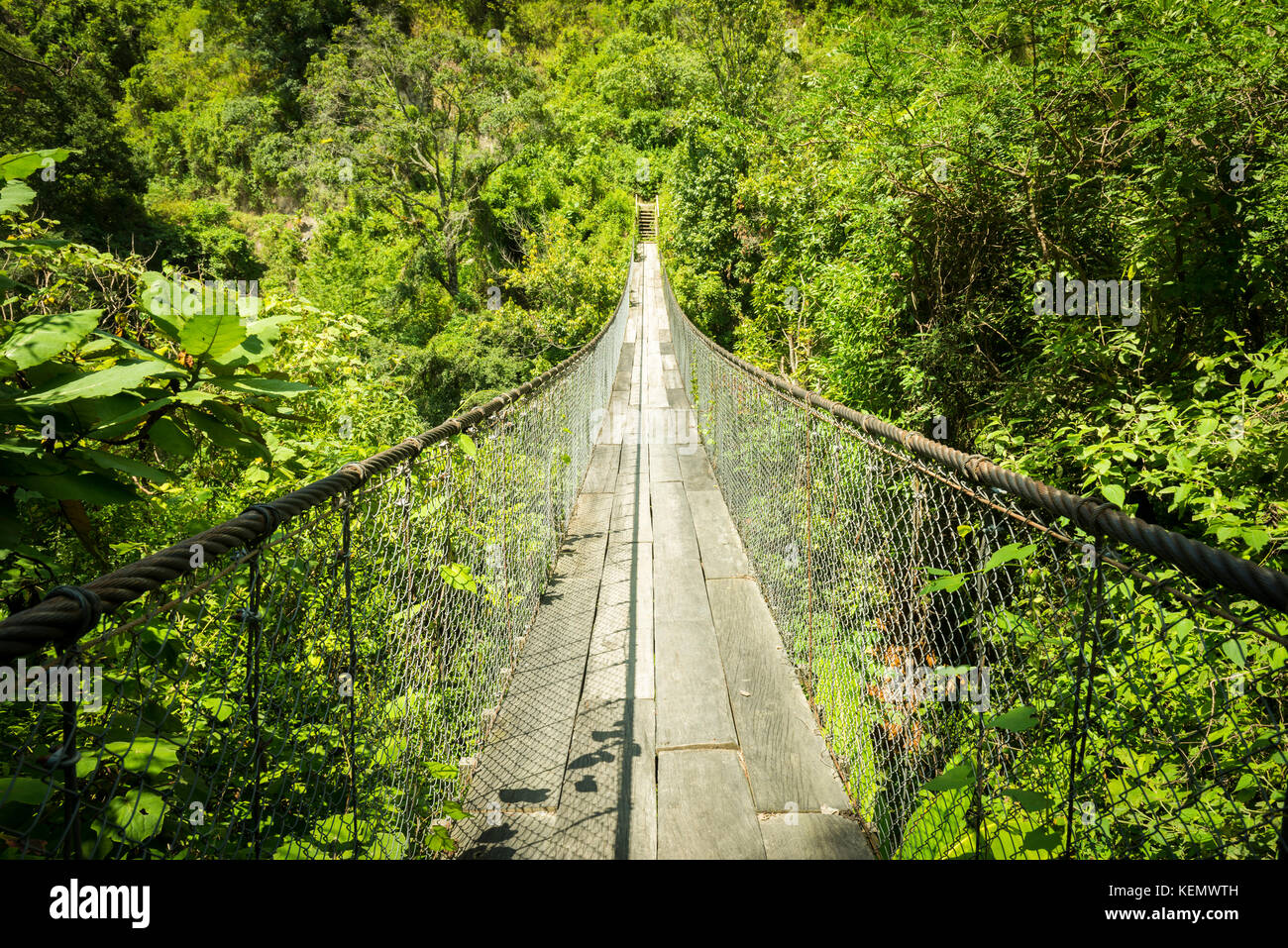 Rope bridge jungle hi-res stock photography and images - Alamy