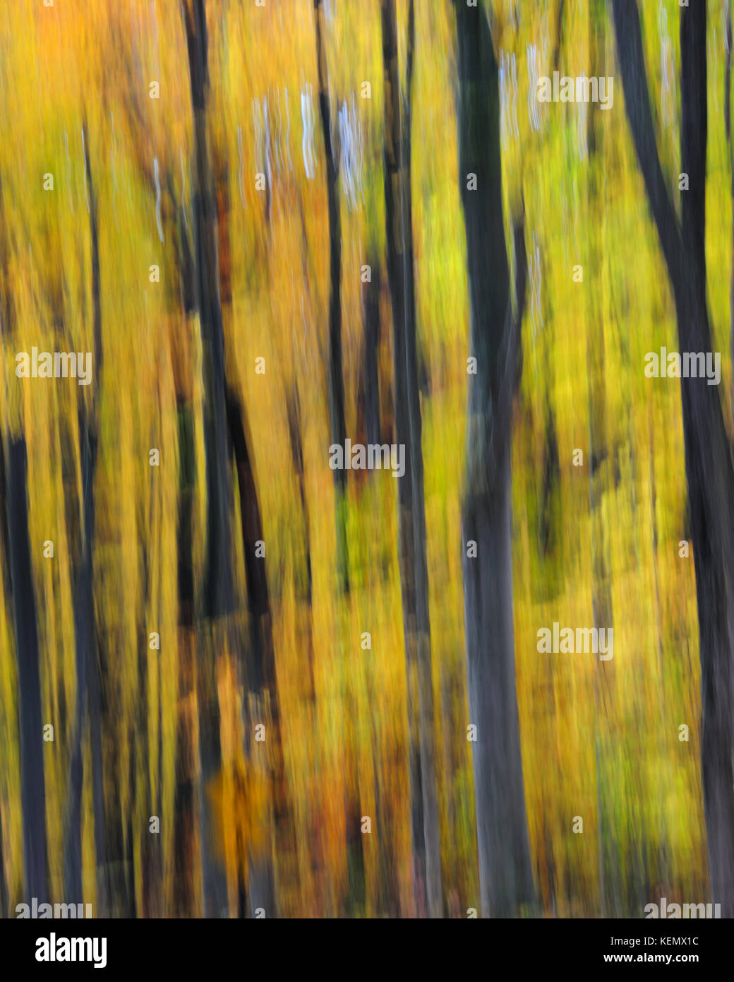 Vertical panning shot hi-res stock photography and images - Alamy