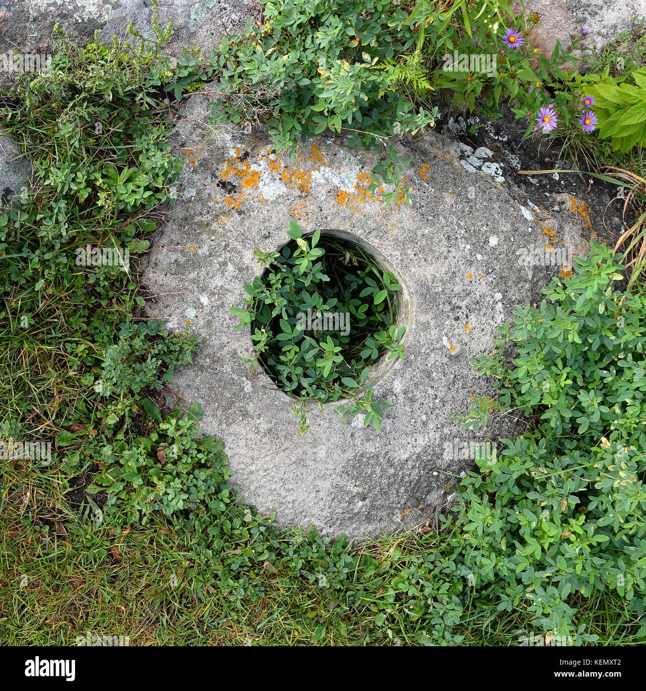 Surface around mound in hi-res stock photography and images - Alamy