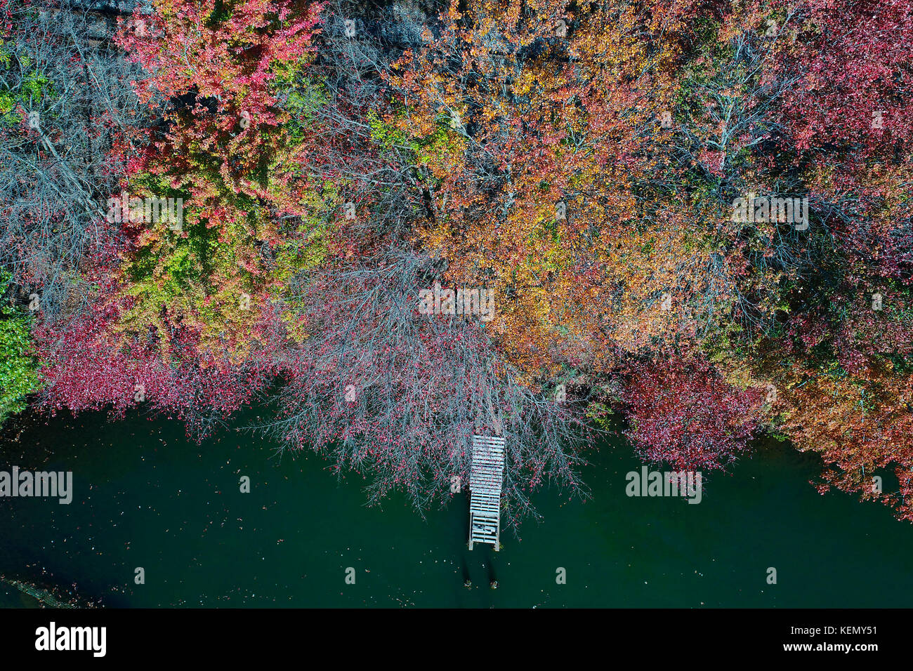 Aerial view of Autumn Foliage along a lake Stock Photo - Alamy