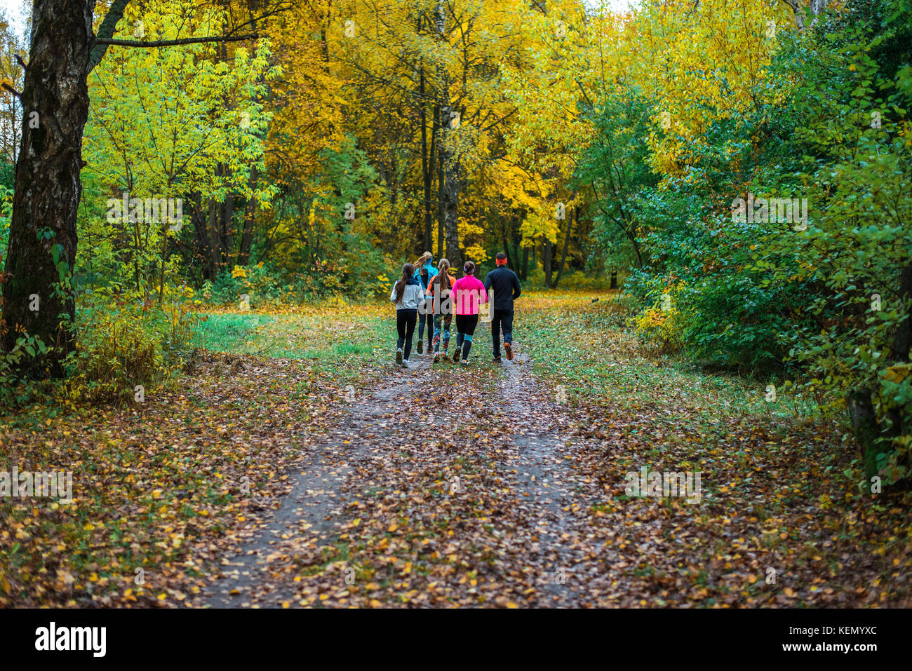 Running athletes in the park on a run in the early morning. Several ...