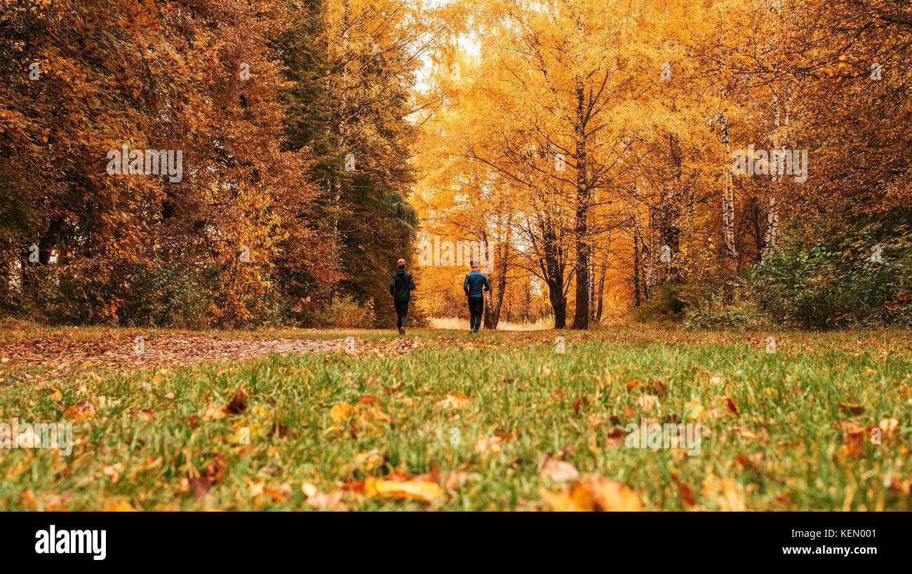Running athletes in the park on a run in the early morning. Several ...