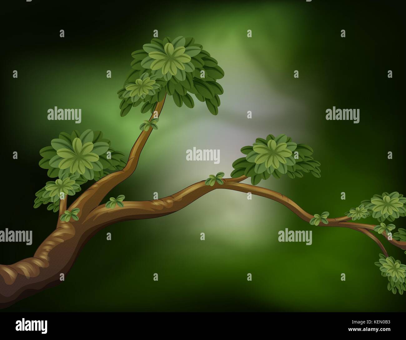 Illustration of a branch of a tree Stock Vector Image & Art - Alamy