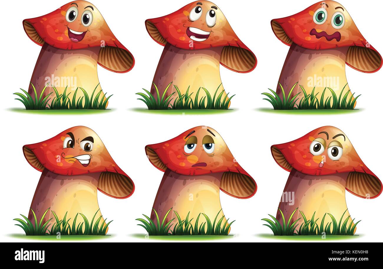 Mushroom faces hi-res stock photography and images - Alamy