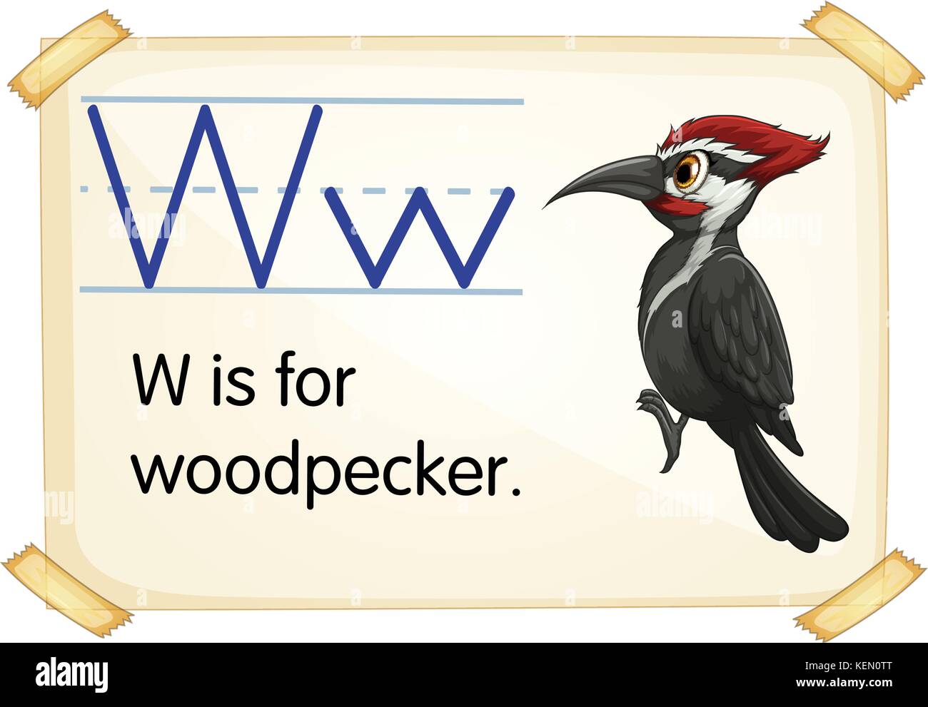 W w read Stock Vector Images - Alamy