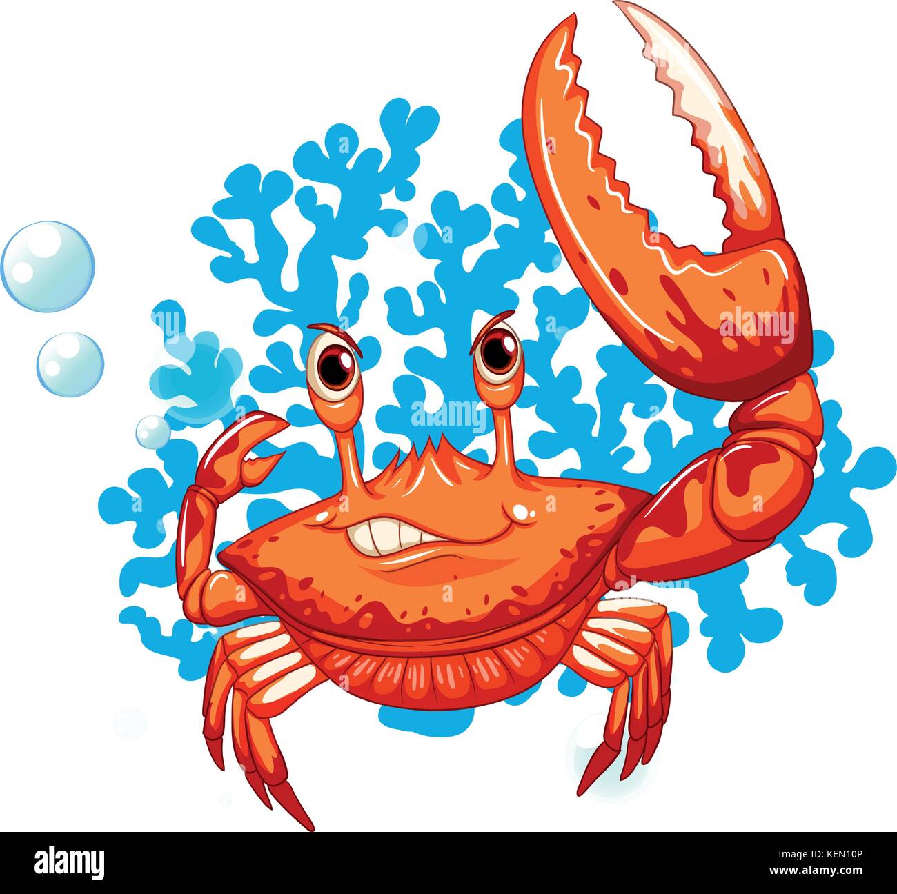 Corals crab Stock Vector Images - Alamy