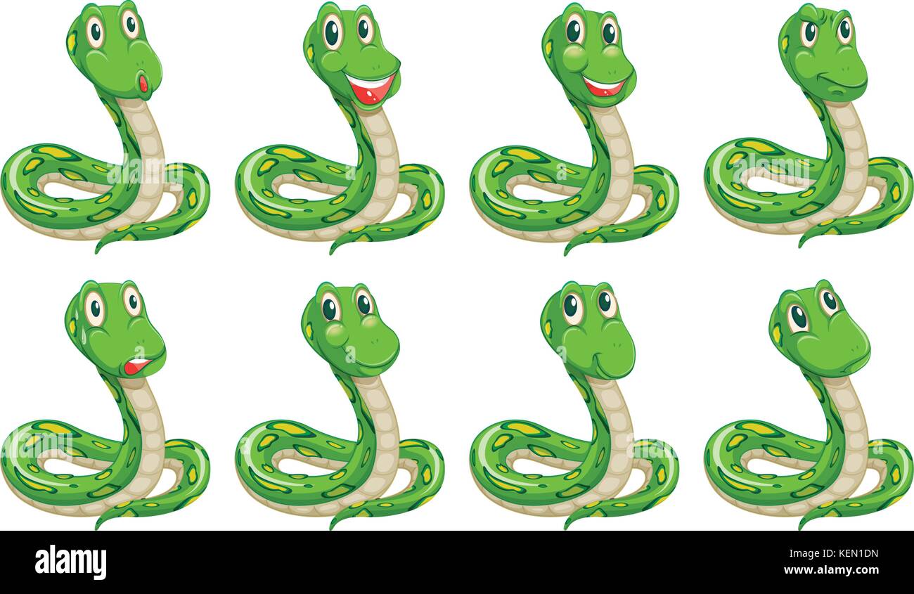 Illustration of the different snake expressions on a white background ...