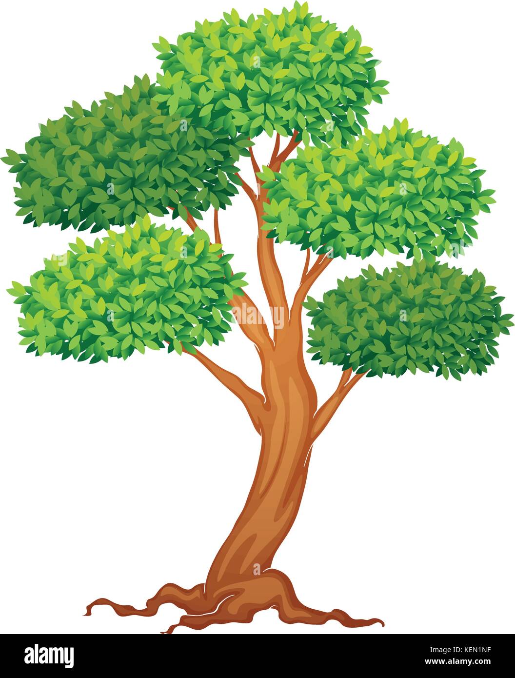 Illustration of a single tree Stock Vector Image & Art - Alamy