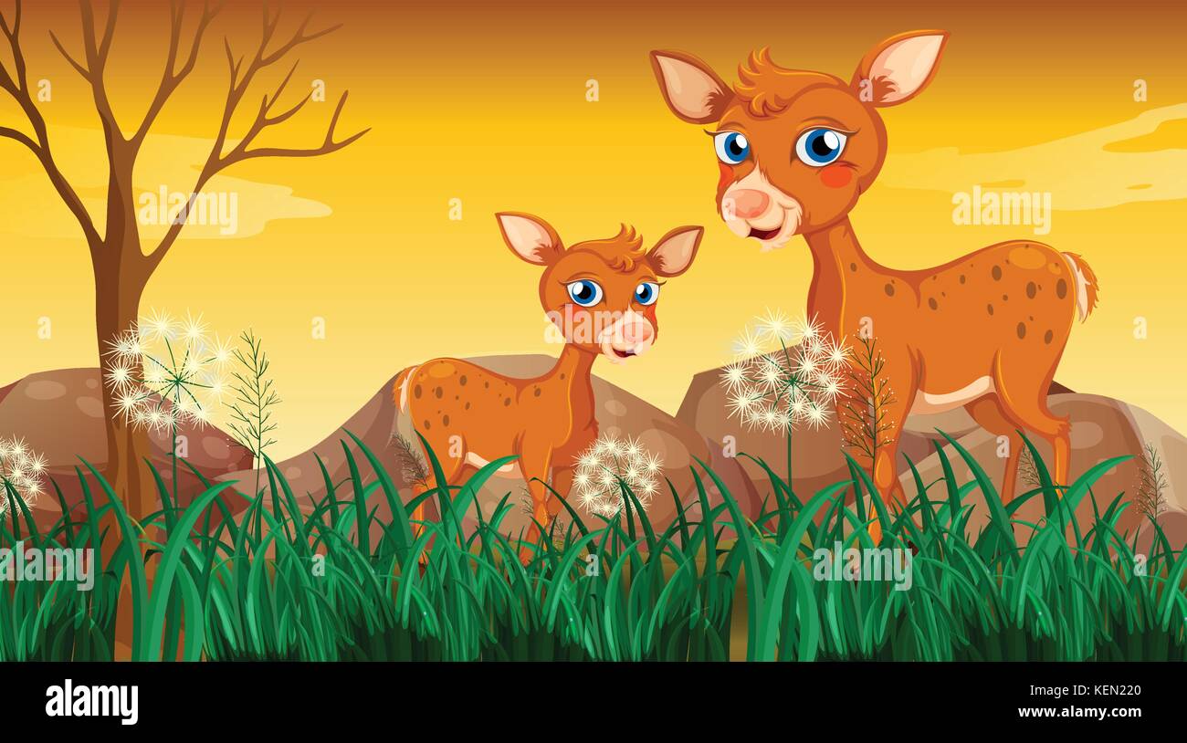 Illustration of the two deers near the grass Stock Vector Image & Art ...