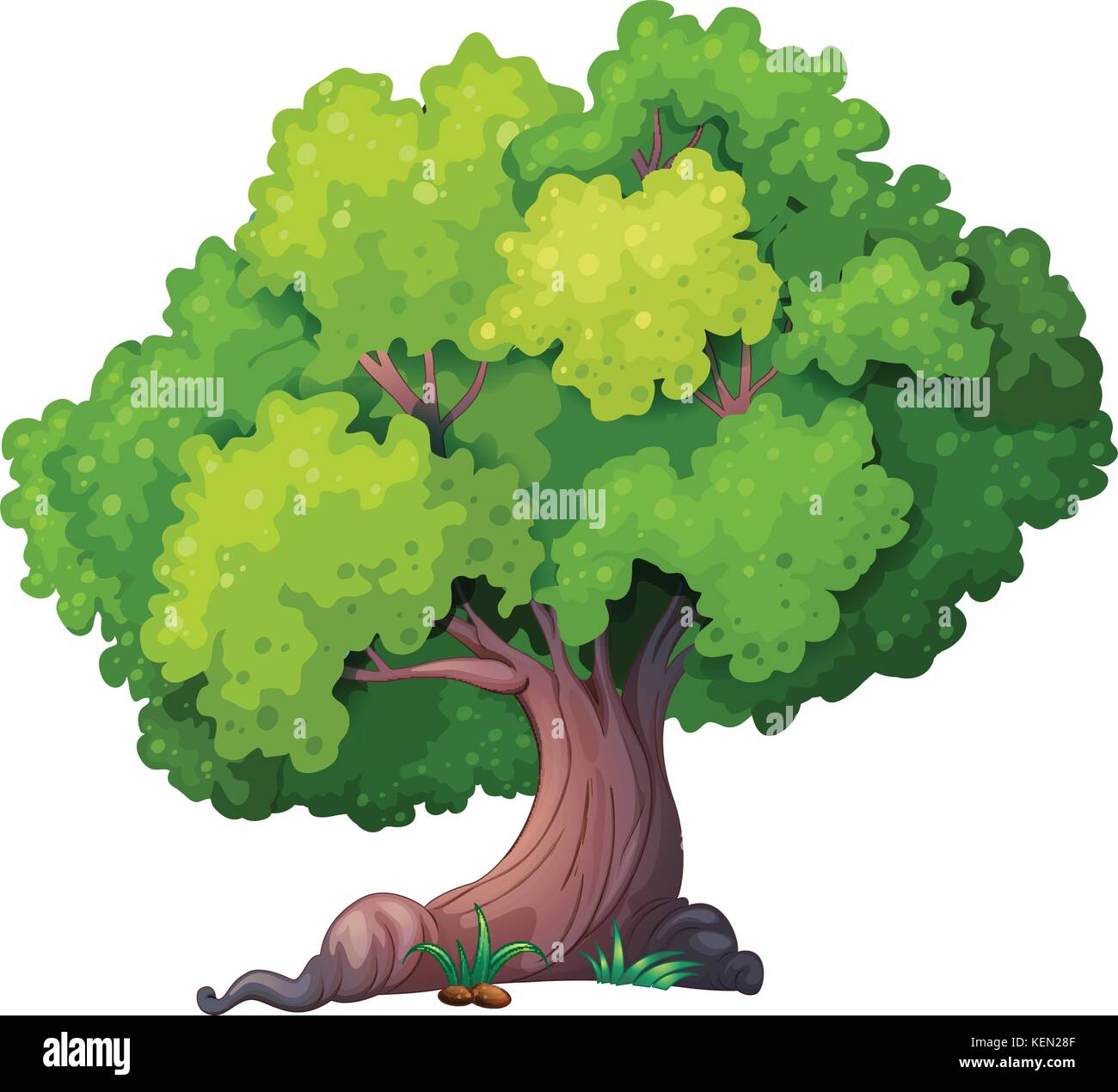 Closeup tree roots Stock Vector Images - Alamy