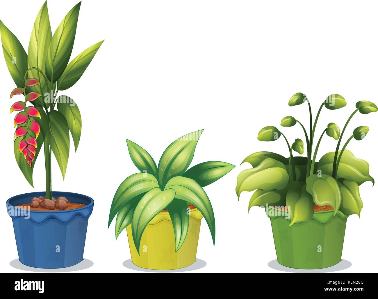 Growing potted plant clipart hi-res stock photography and images - Alamy