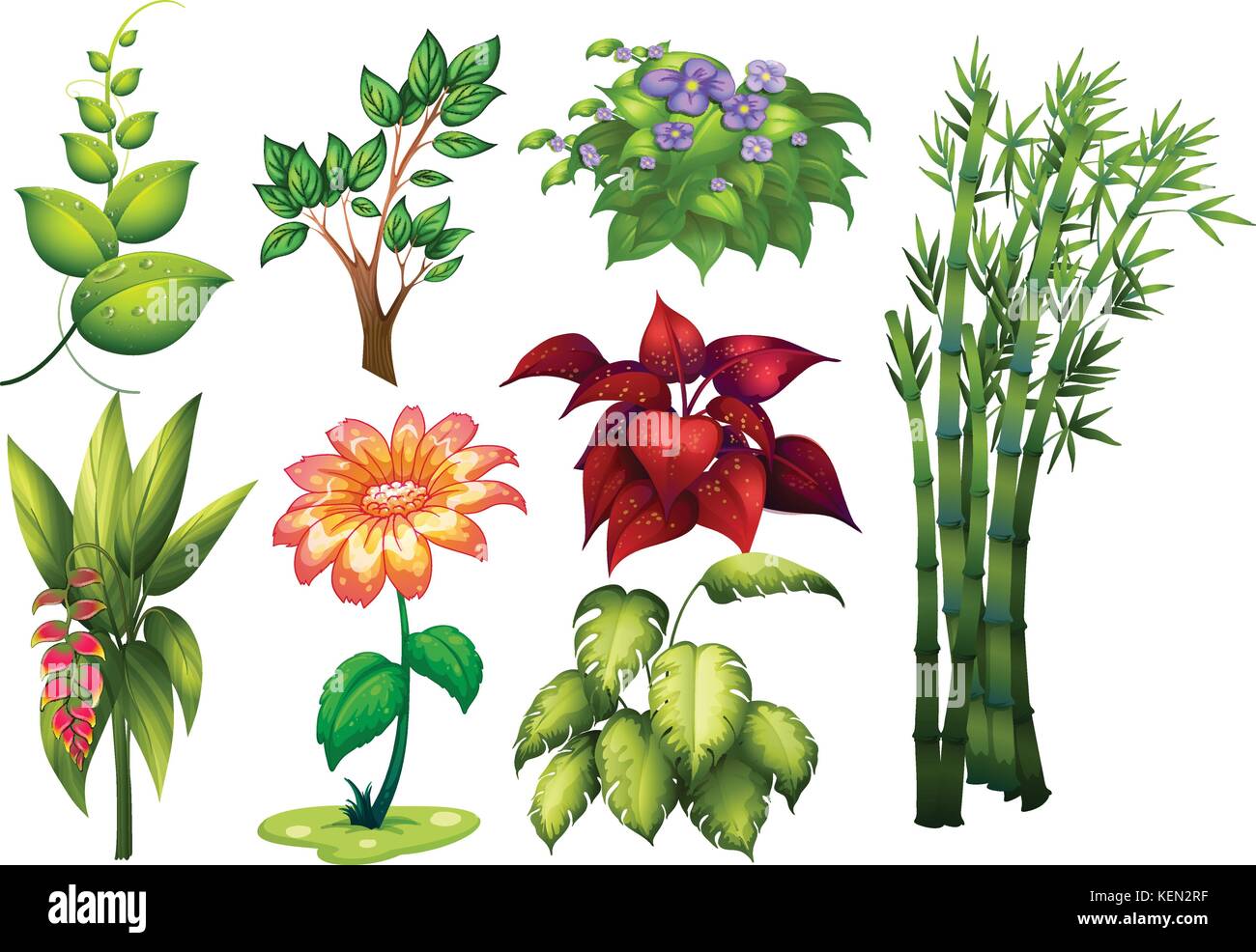 Illustration of different kind of plant and flower Stock Vector Image ...