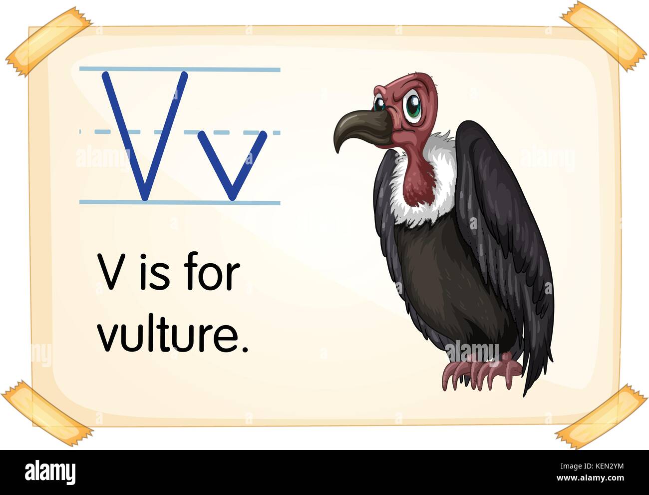 Vulture Beak Stock Vector Images - Alamy