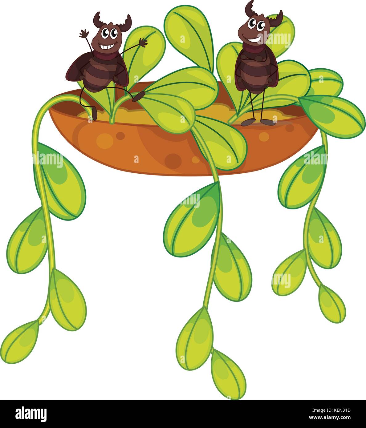 Illustration of an air plant with insects on a white background Stock ...