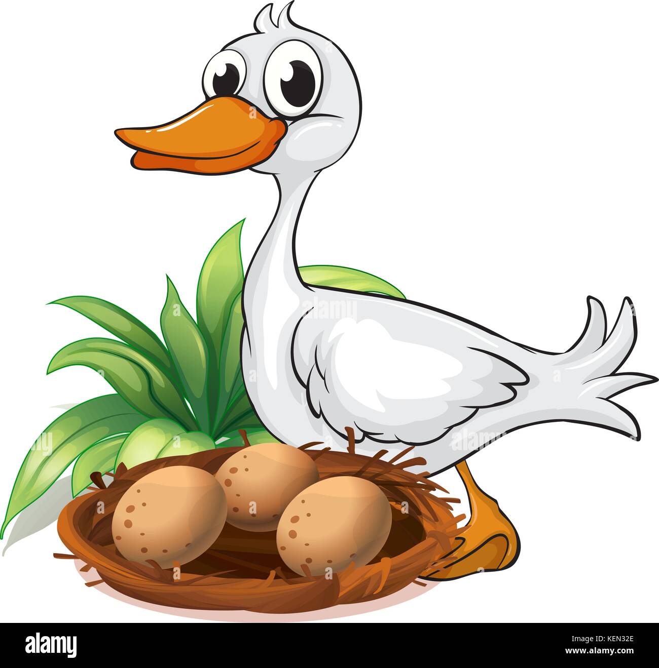 Illustration of a duck beside her nest on a white background Stock ...
