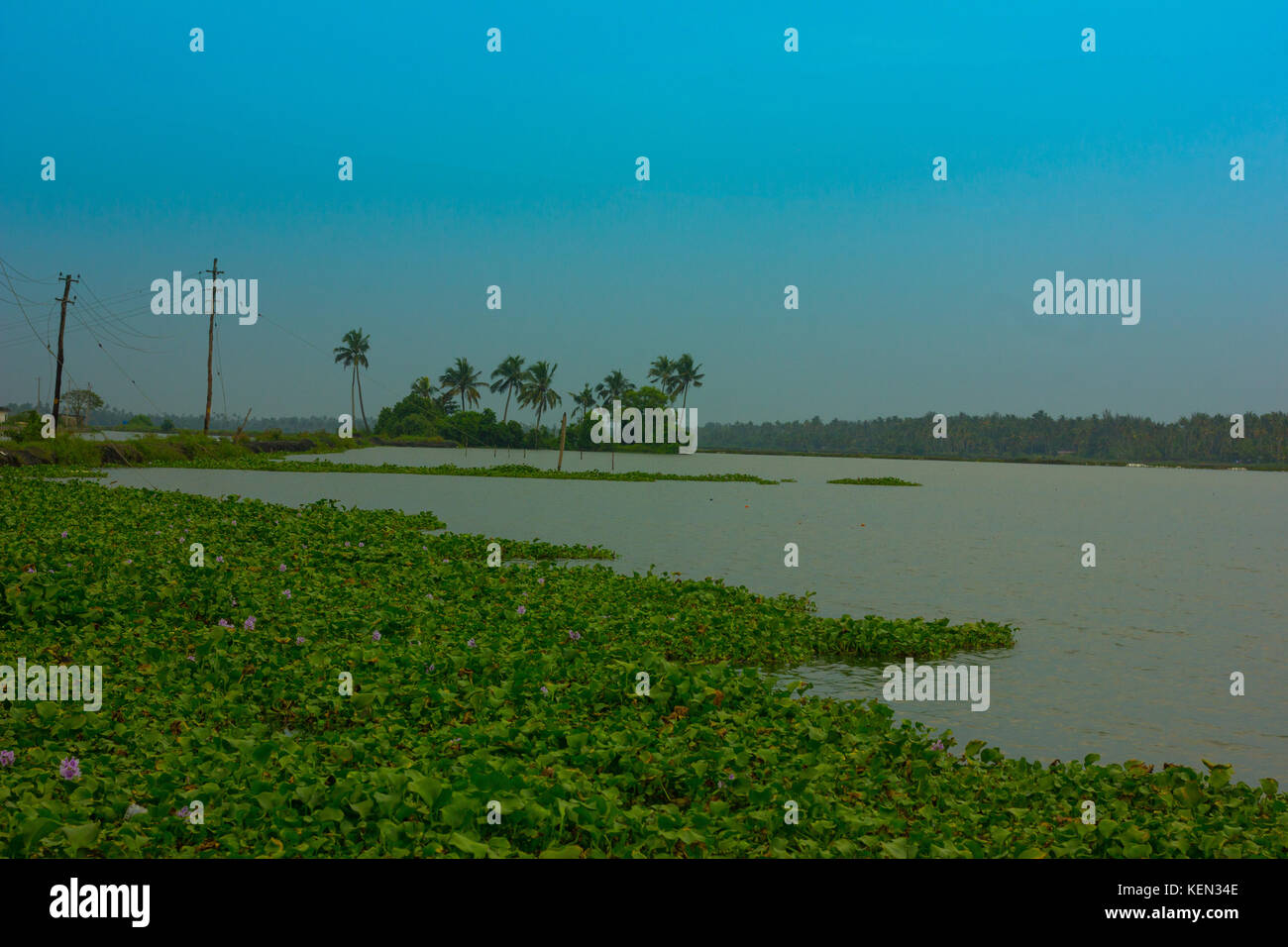 Kerala Photos - Backwater Stock Photo - Alamy