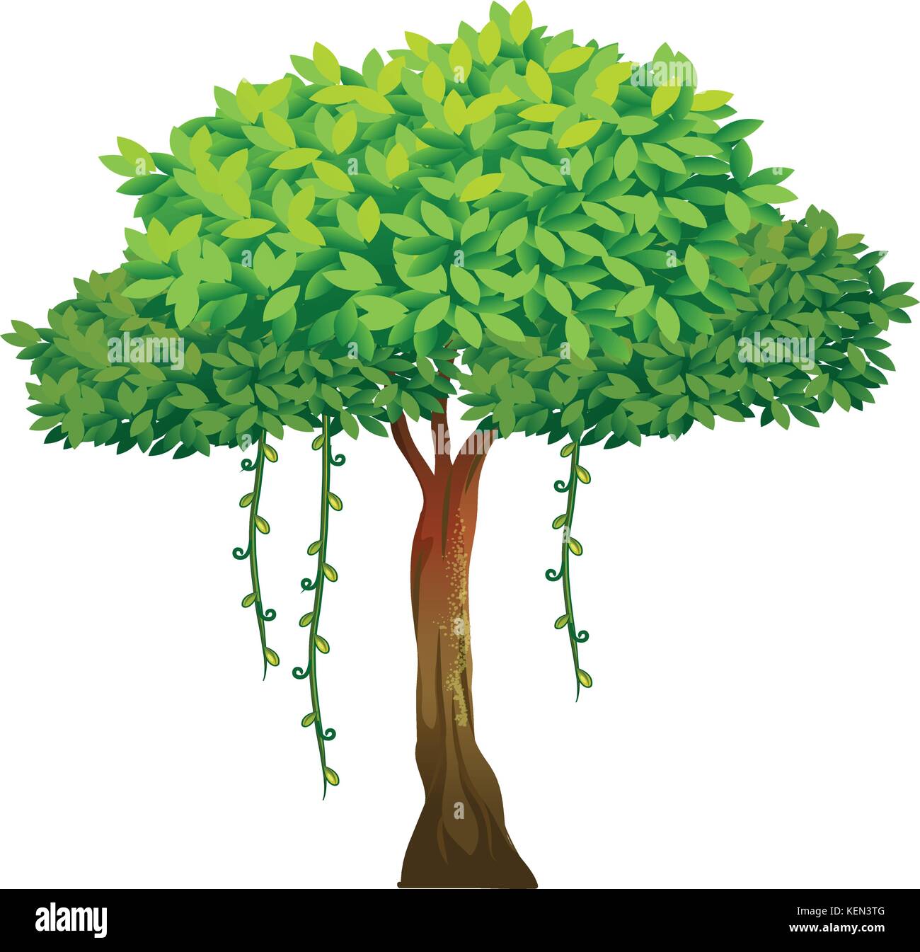 Illustration of a single tree with vines Stock Vector Image & Art - Alamy