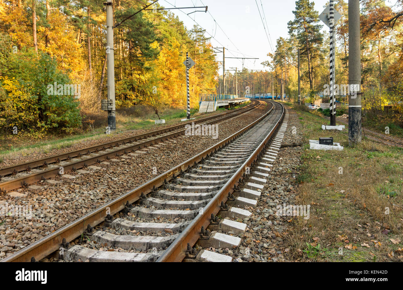 Railroad tracks on background of autumn forest Stock Photo - Alamy