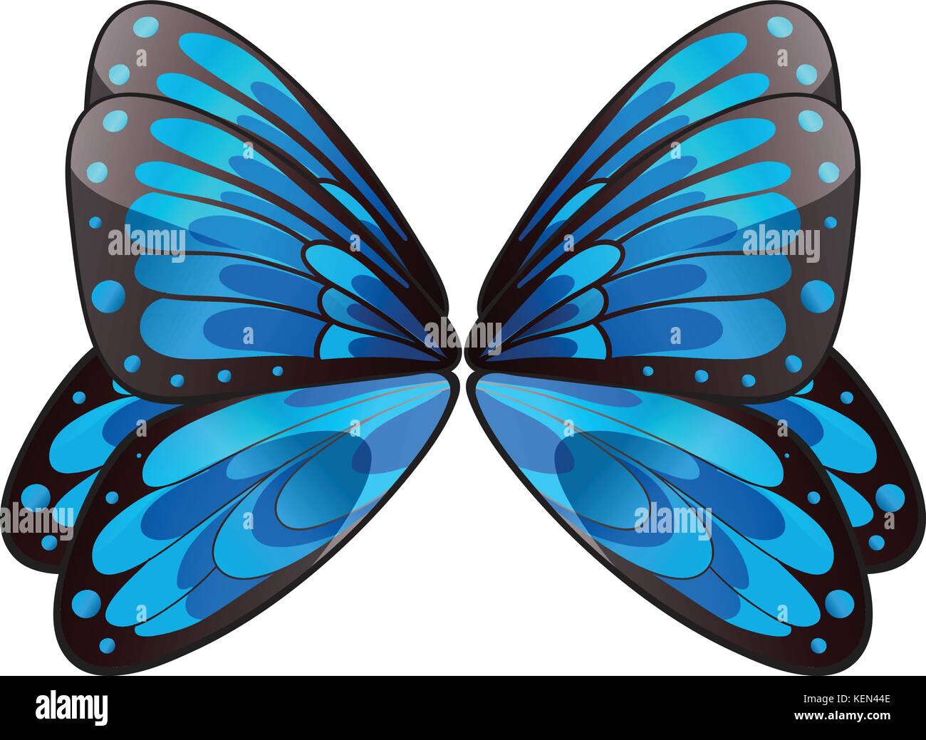 Illustration of a blue butterfly Stock Vector Image & Art - Alamy