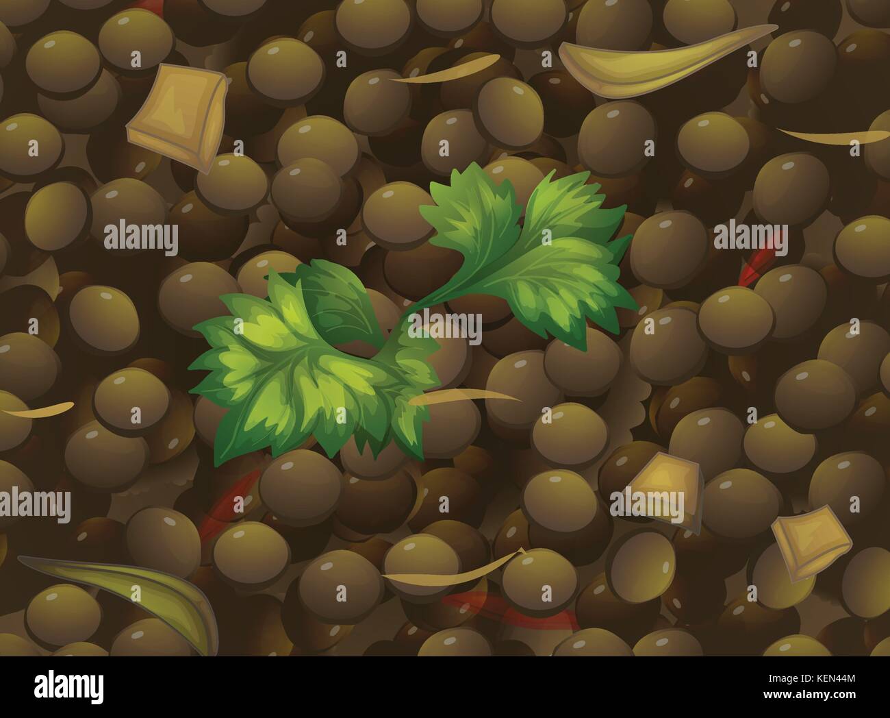 Lentil vector vectors hi-res stock photography and images - Alamy