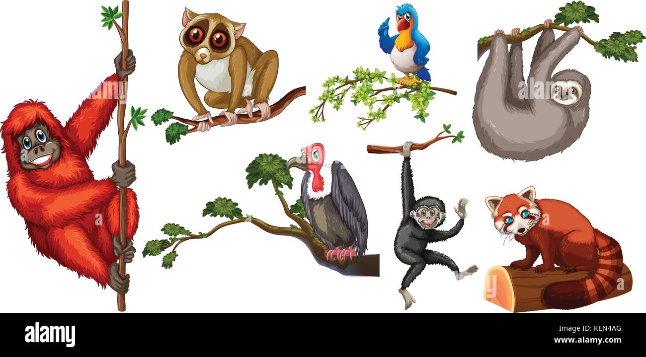 Illustration of different animals on branches Stock Vector Image & Art ...