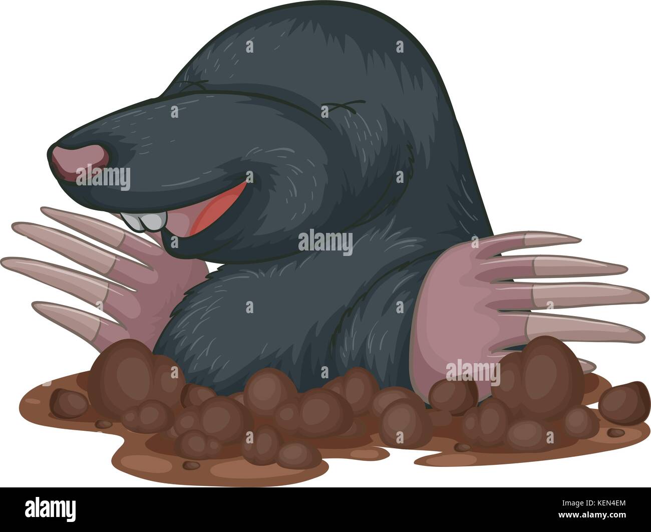 Mole animal hand hi-res stock photography and images - Alamy