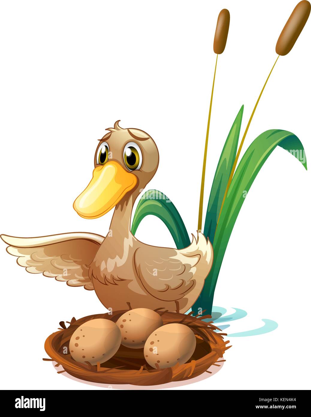 Illustration of a duck watching the eggs at the nest near the pond on a ...