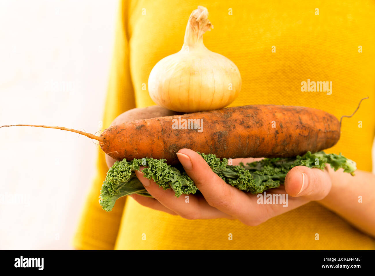 Organic vegetables. Woman's hands with freshly harvested vegetables ...