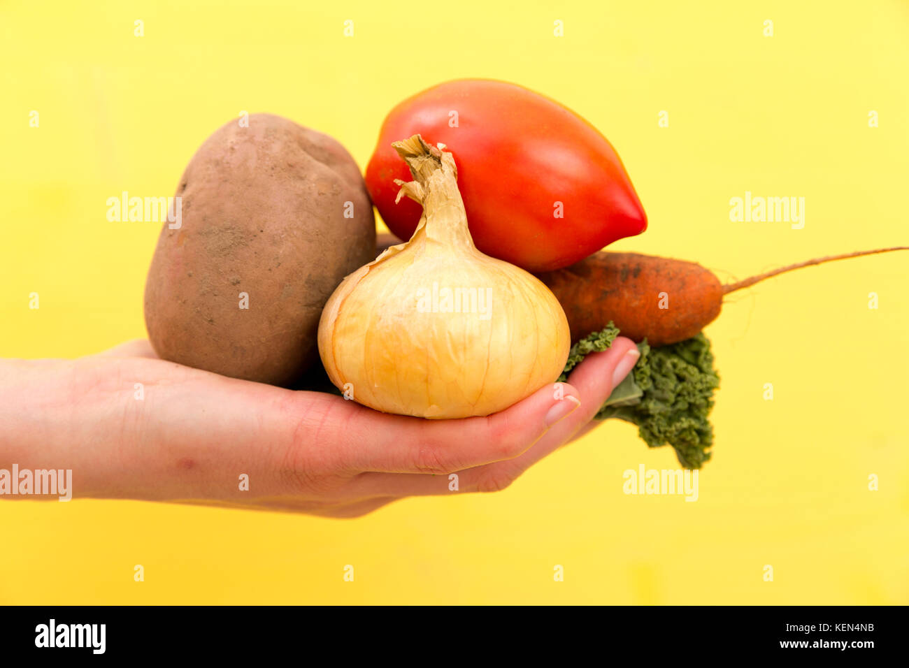 Organic vegetables. Woman's hands with freshly harvested vegetables ...