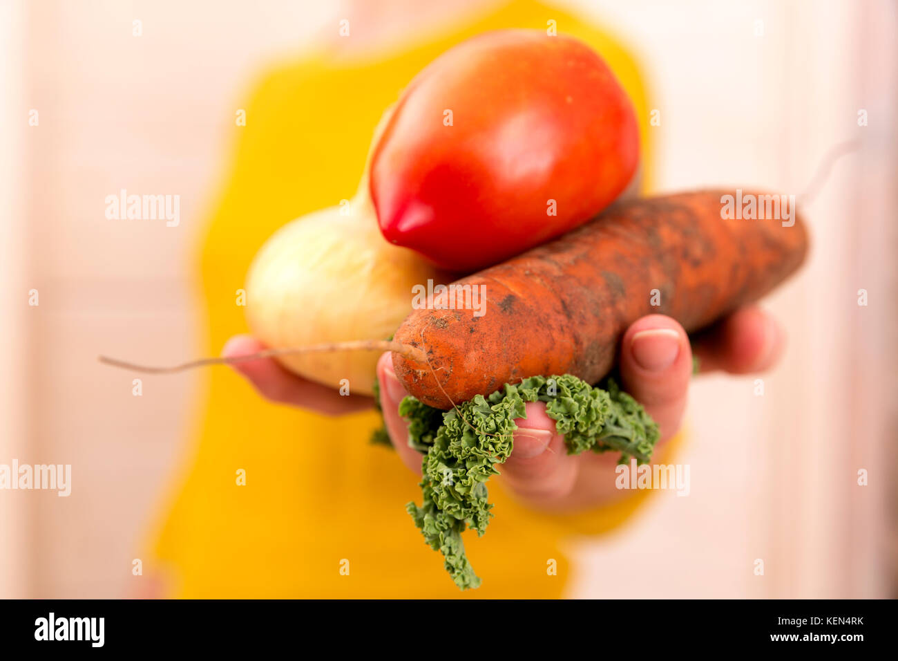 Organic vegetables. Woman's hands with freshly harvested vegetables ...