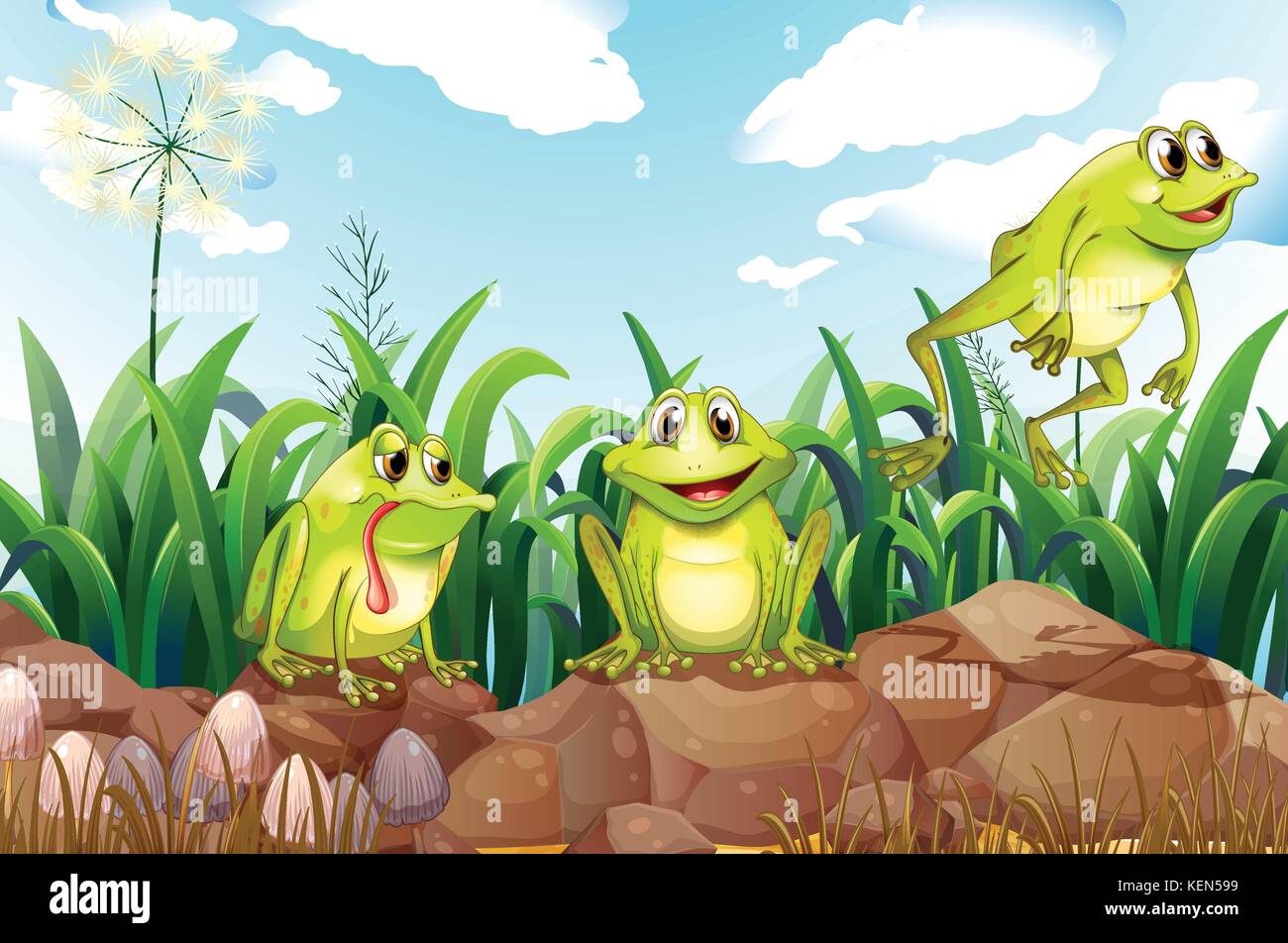 Illustration of the three frogs above the rocks Stock Vector Image ...