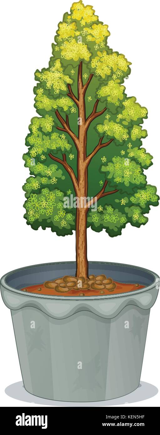 Gray plant pot Stock Vector Images - Alamy