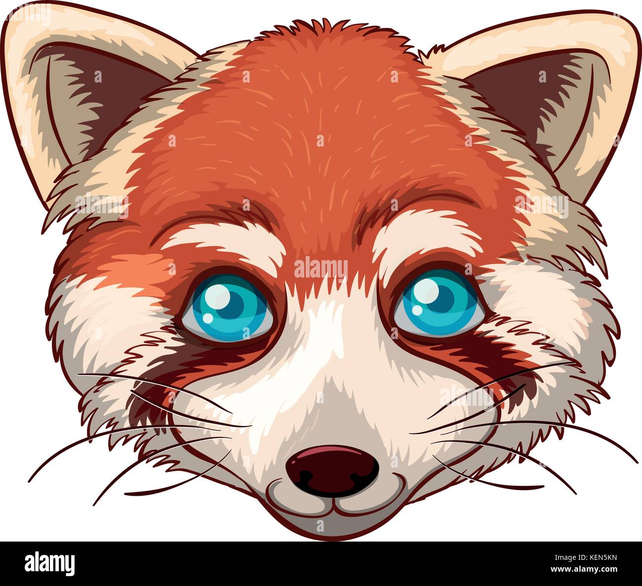 Red Panda Face Drawing Red Panda Drawing Tutorial How To Draw Red