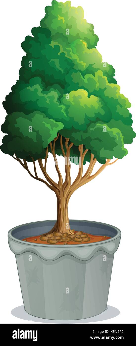 Illustration of a closeup potted plant Stock Vector Image & Art - Alamy