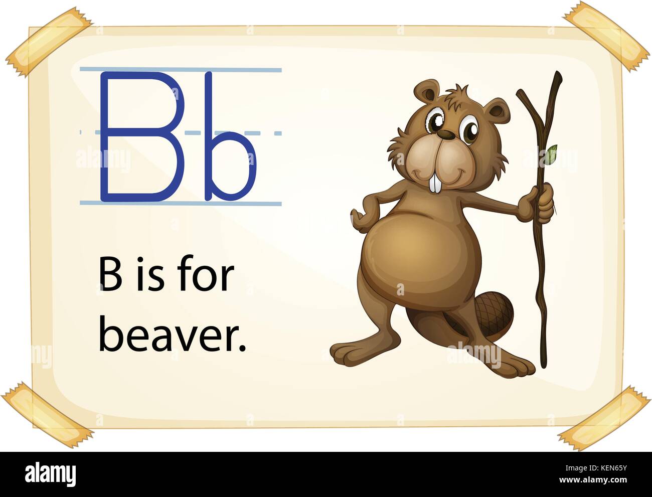 A letter B for beaver on a white background Stock Vector Image & Art ...
