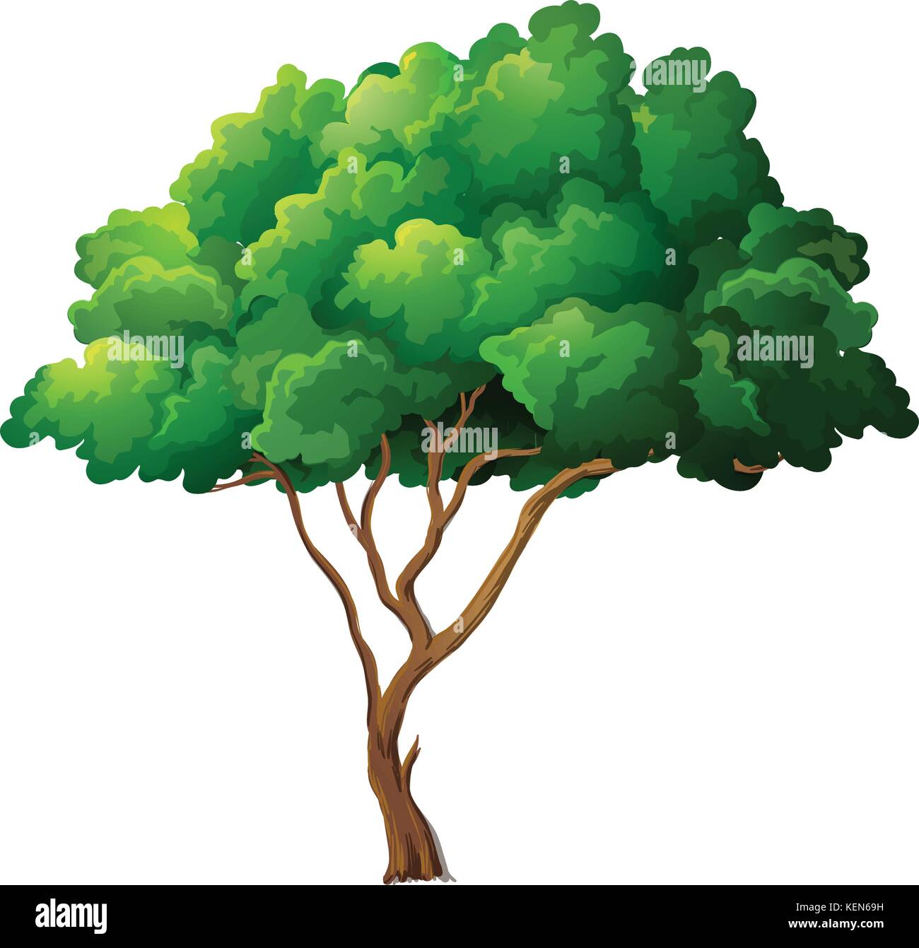 Illustration of a single tree Stock Vector Image & Art - Alamy