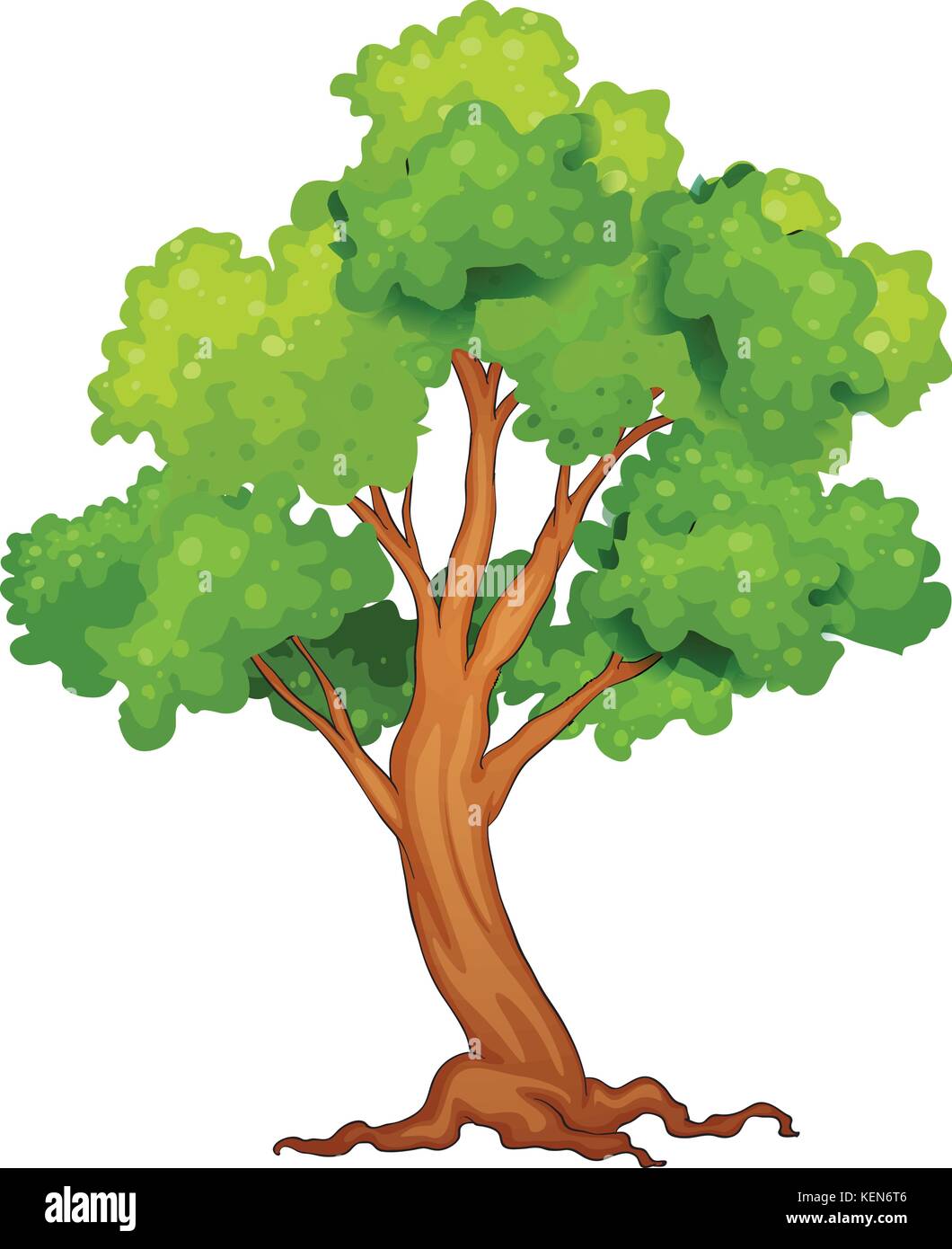 Closeup tree roots Stock Vector Images - Alamy