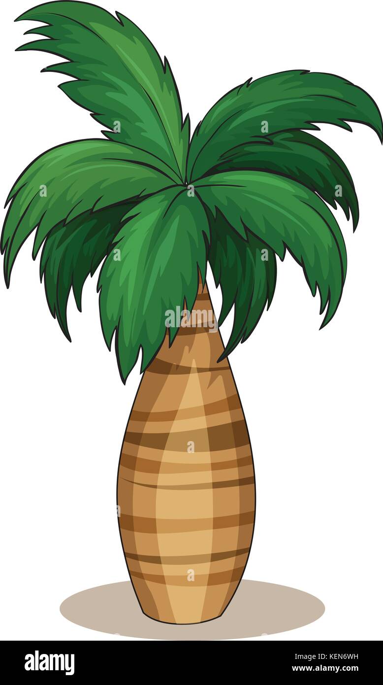 Illustration of a single palm tree Stock Vector Image & Art - Alamy