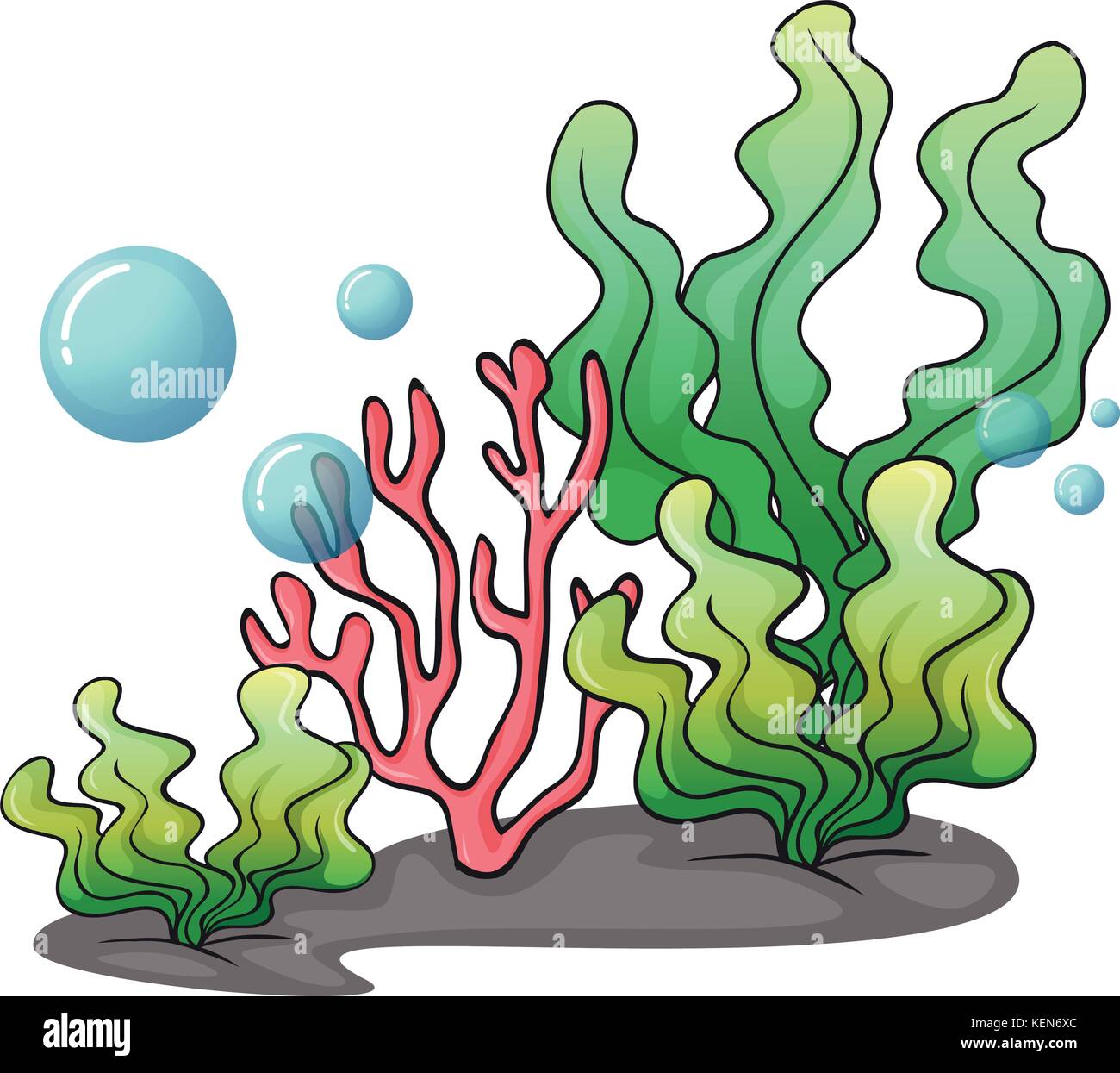 Illustration of the seaweeds under the sea on a white background Stock ...