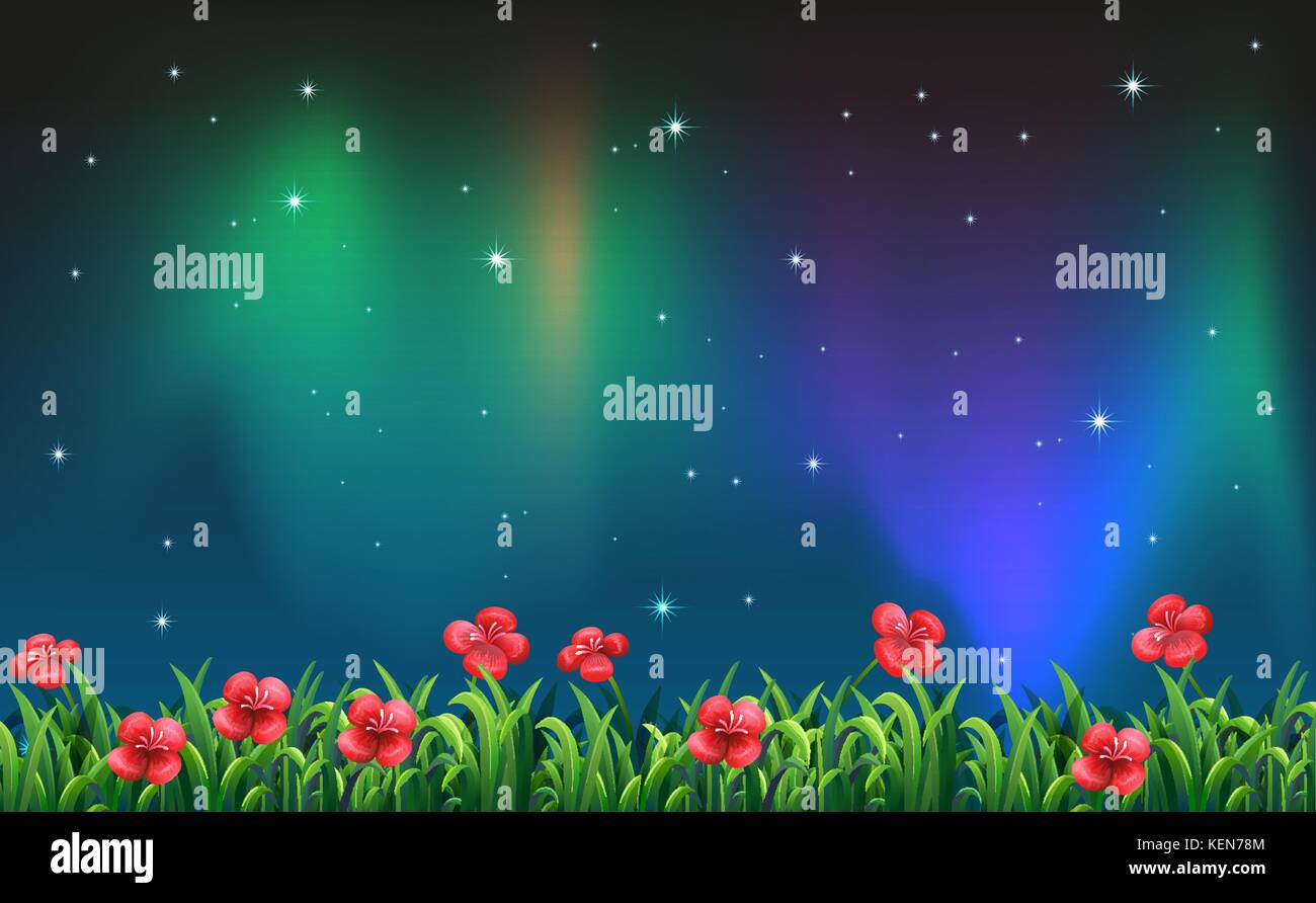 Illustration of a beautiful view at night Stock Vector Image & Art - Alamy