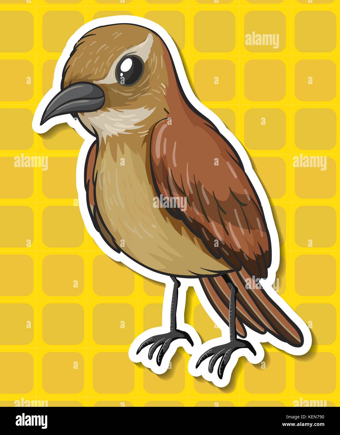 Illustration of a close up bird Stock Vector Image & Art - Alamy