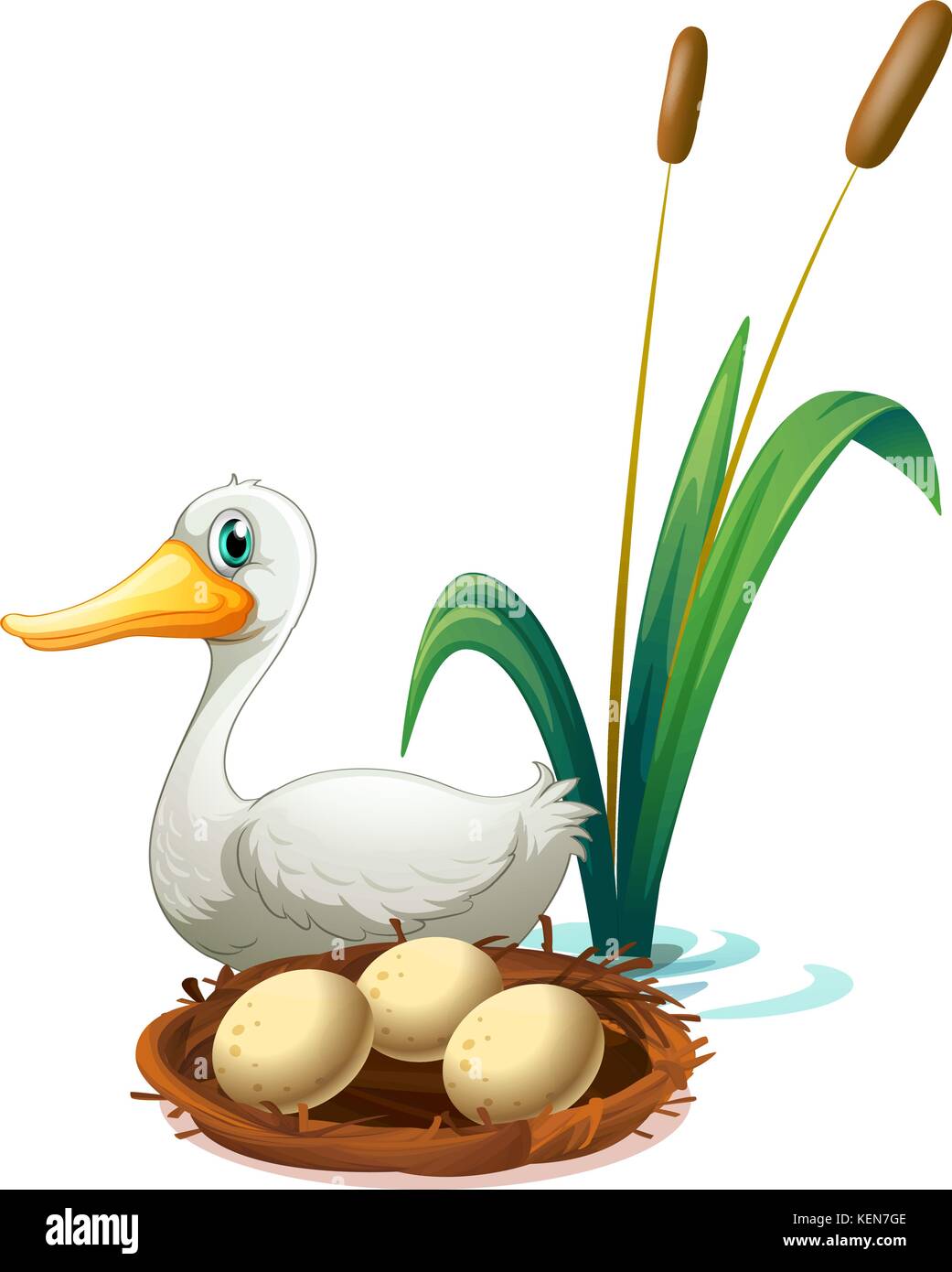 Illustration of a duck beside the nest on a white background Stock ...