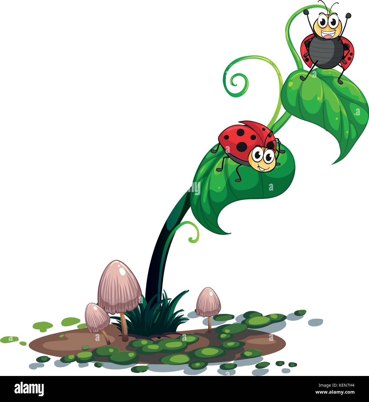 Illustration of a plant with bugs on a white background Stock Vector ...