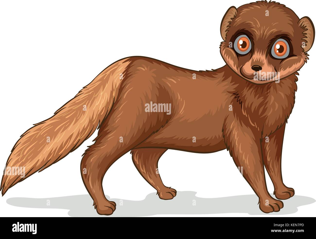 Illustration of a single cute brown mink Stock Vector Image & Art - Alamy