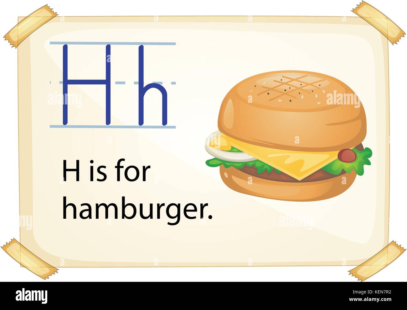 Hamburger flash card with letters Stock Vector Image & Art - Alamy