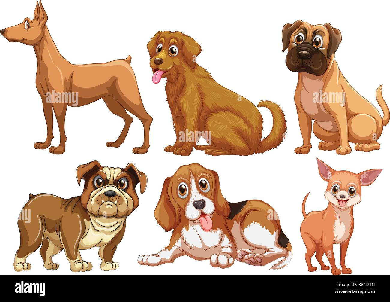 Illustration of different type of dogs Stock Vector Image & Art - Alamy