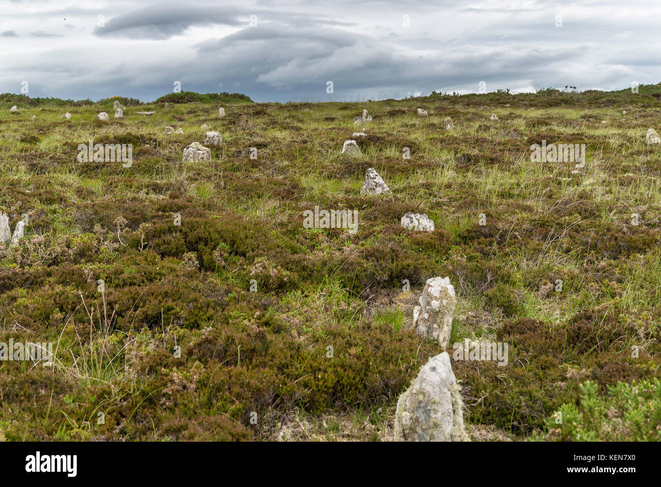 hill of many historyc place in the caithness area Stock Photo - Alamy