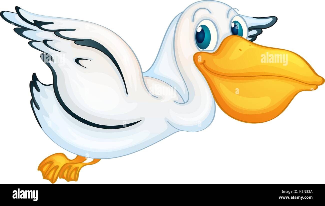 Illustration of a pelican flying Stock Vector Image & Art - Alamy